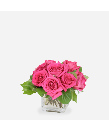 Austin TX New Baby Flower & Gift Delivery | Freytag's Florist